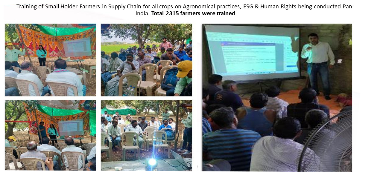 SeedWorks - Seed That Works