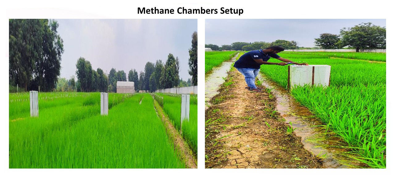 SeedWorks - Seed That Works