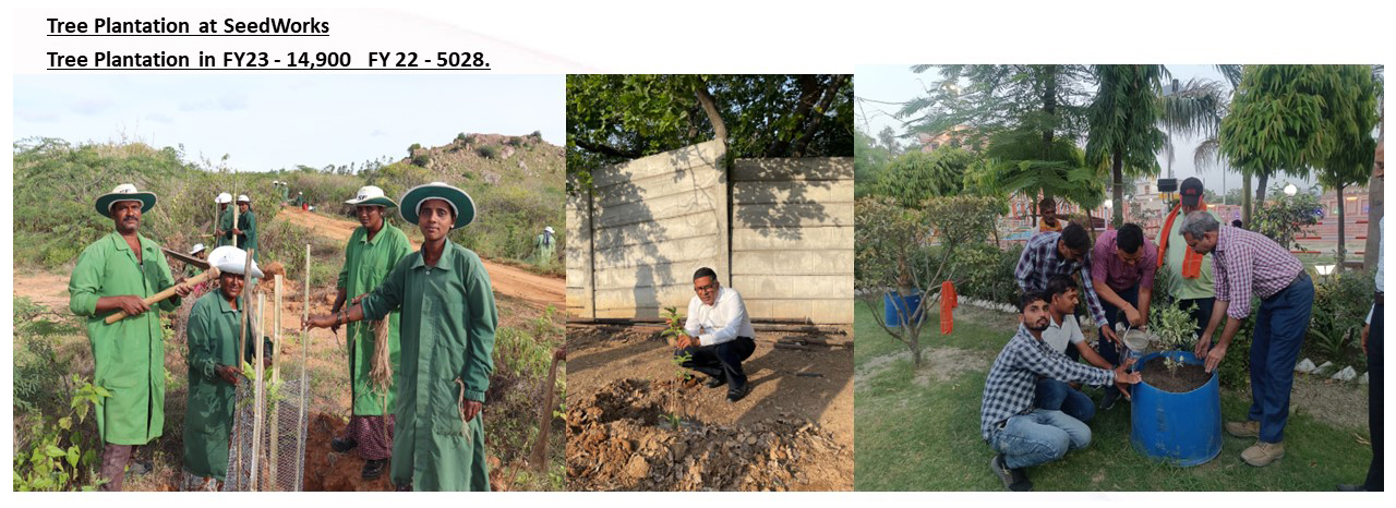 SeedWorks - Seed That Works