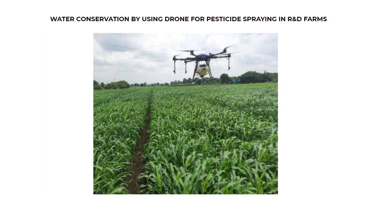 SeedWorks - Seed That Works