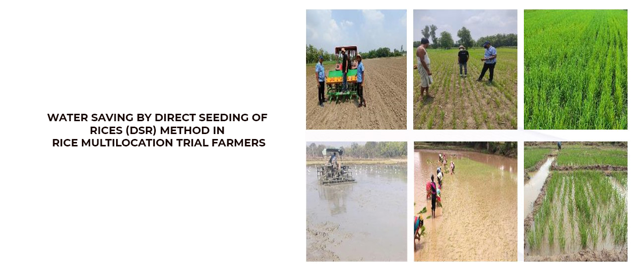 SeedWorks - Seed That Works