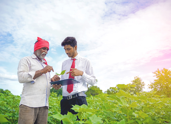 SeedWorks - Seed That Works