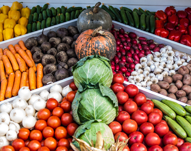 SeedWorks - Seed That Works