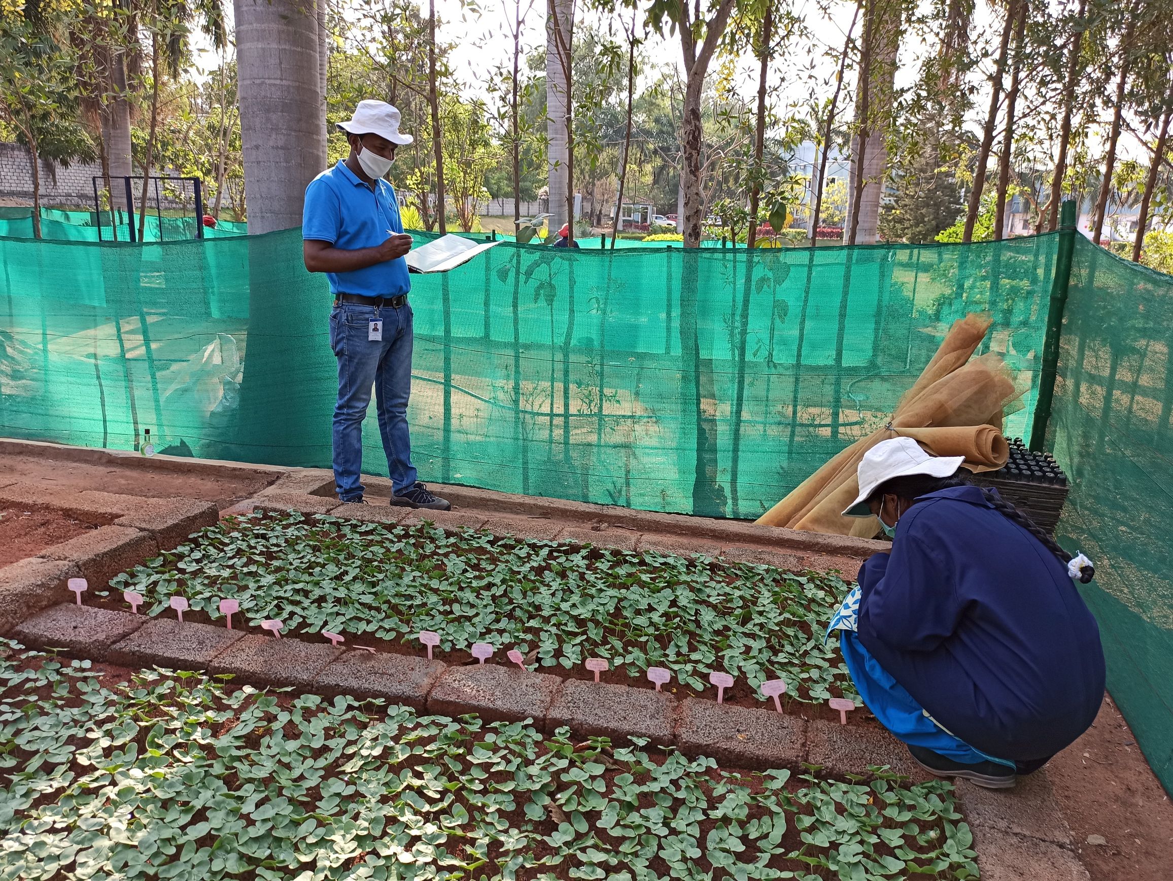 SeedWorks - Seed That Works