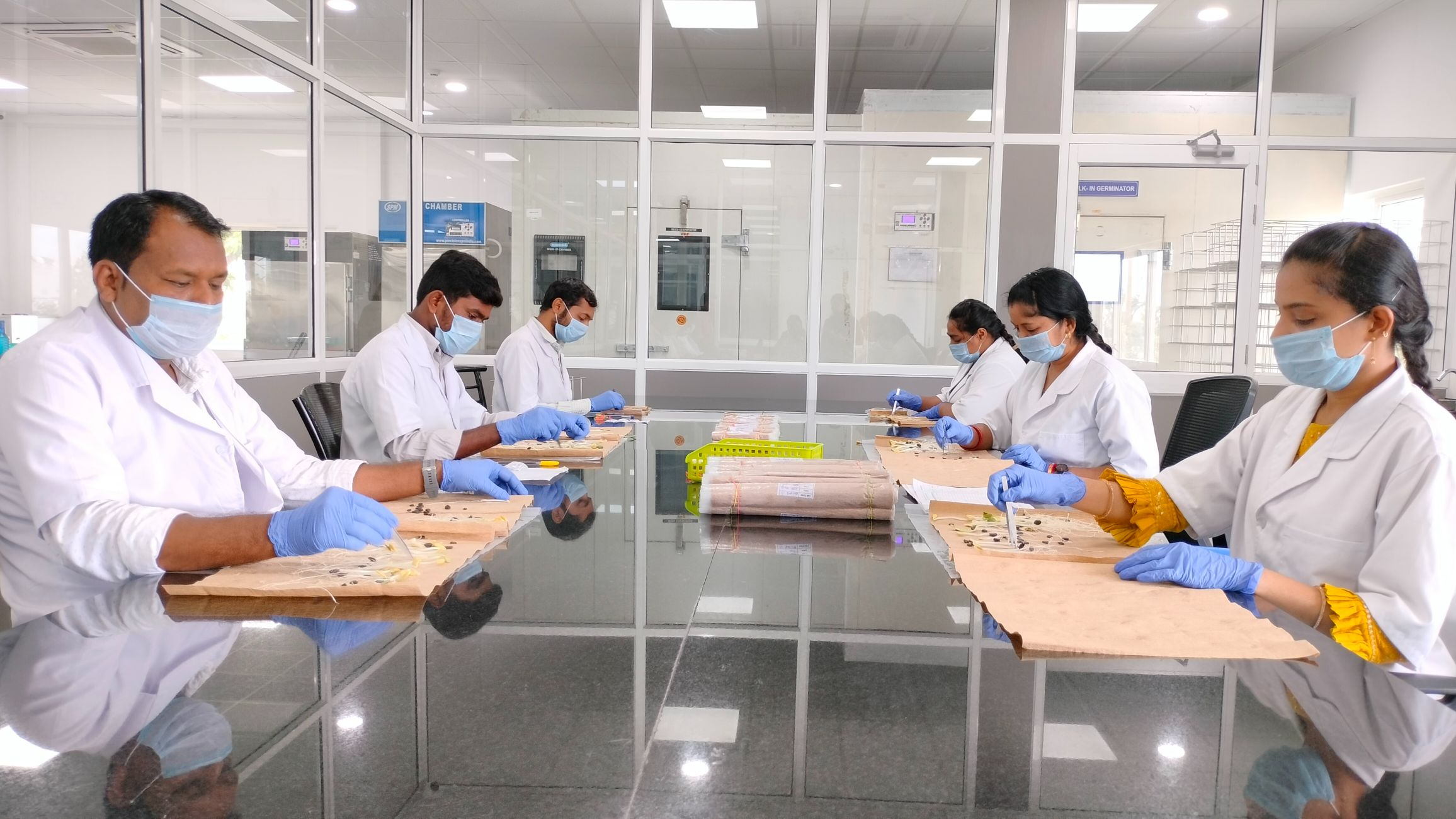 SeedWorks - Seed That Works