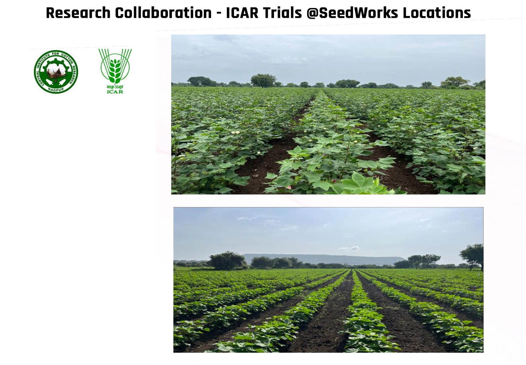 SeedWorks - Seed That Works