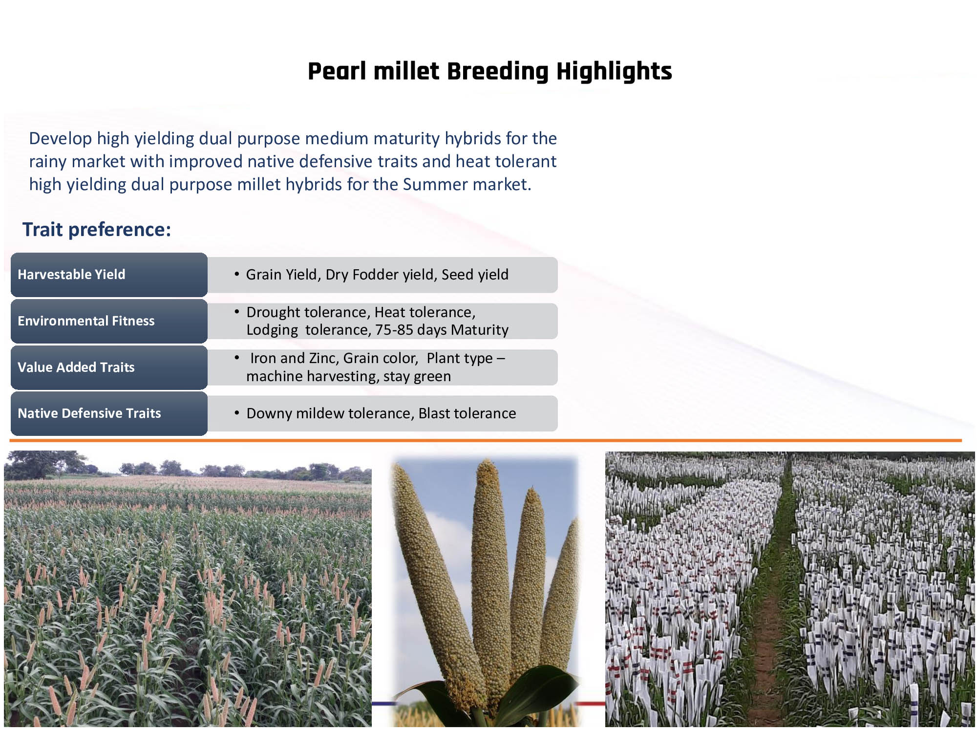 SeedWorks - Seed That Works