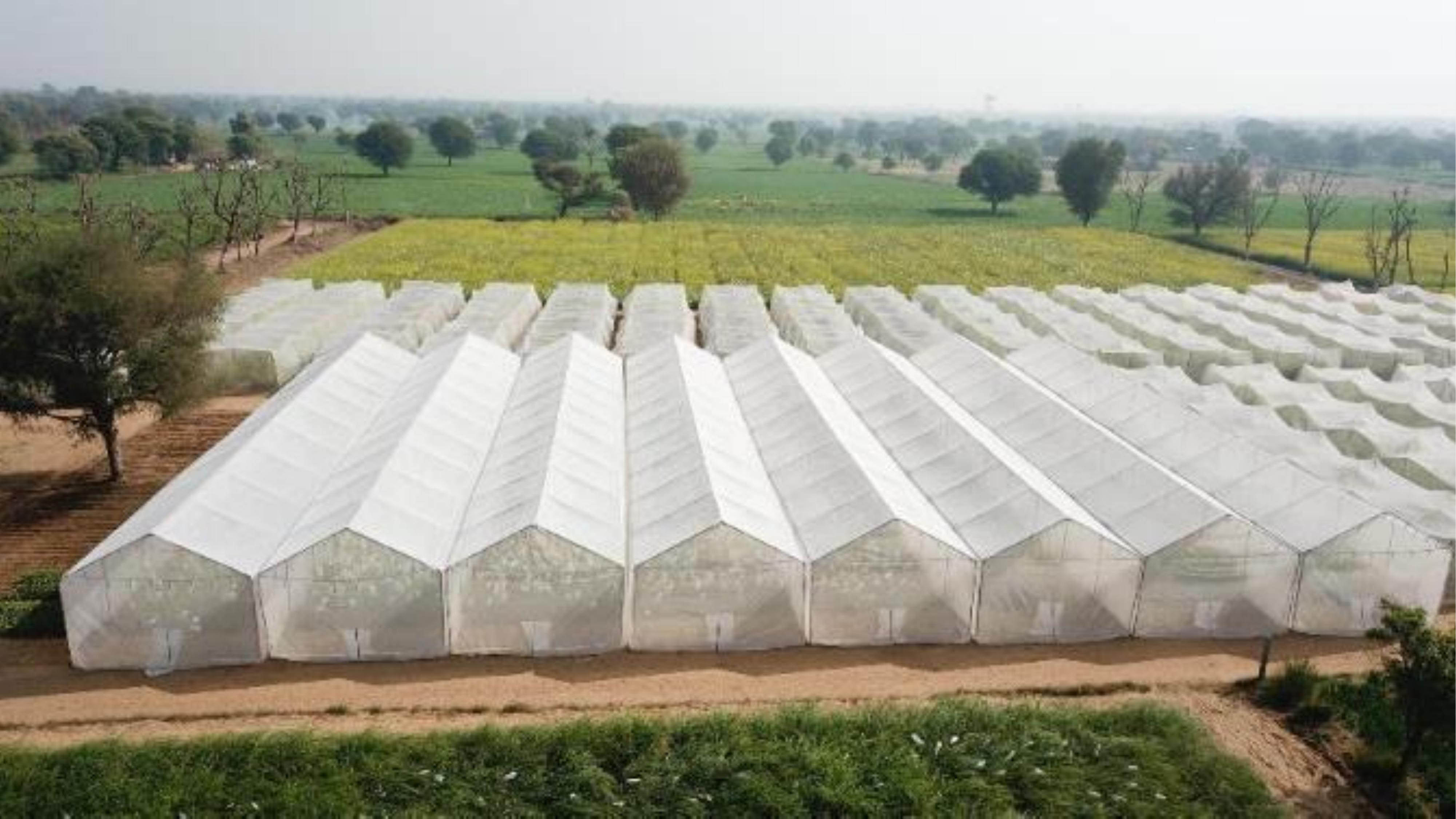 SeedWorks - Seed That Works